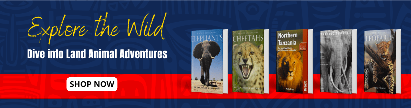 Savanis Book Centre | Best Book Store In Nairobi